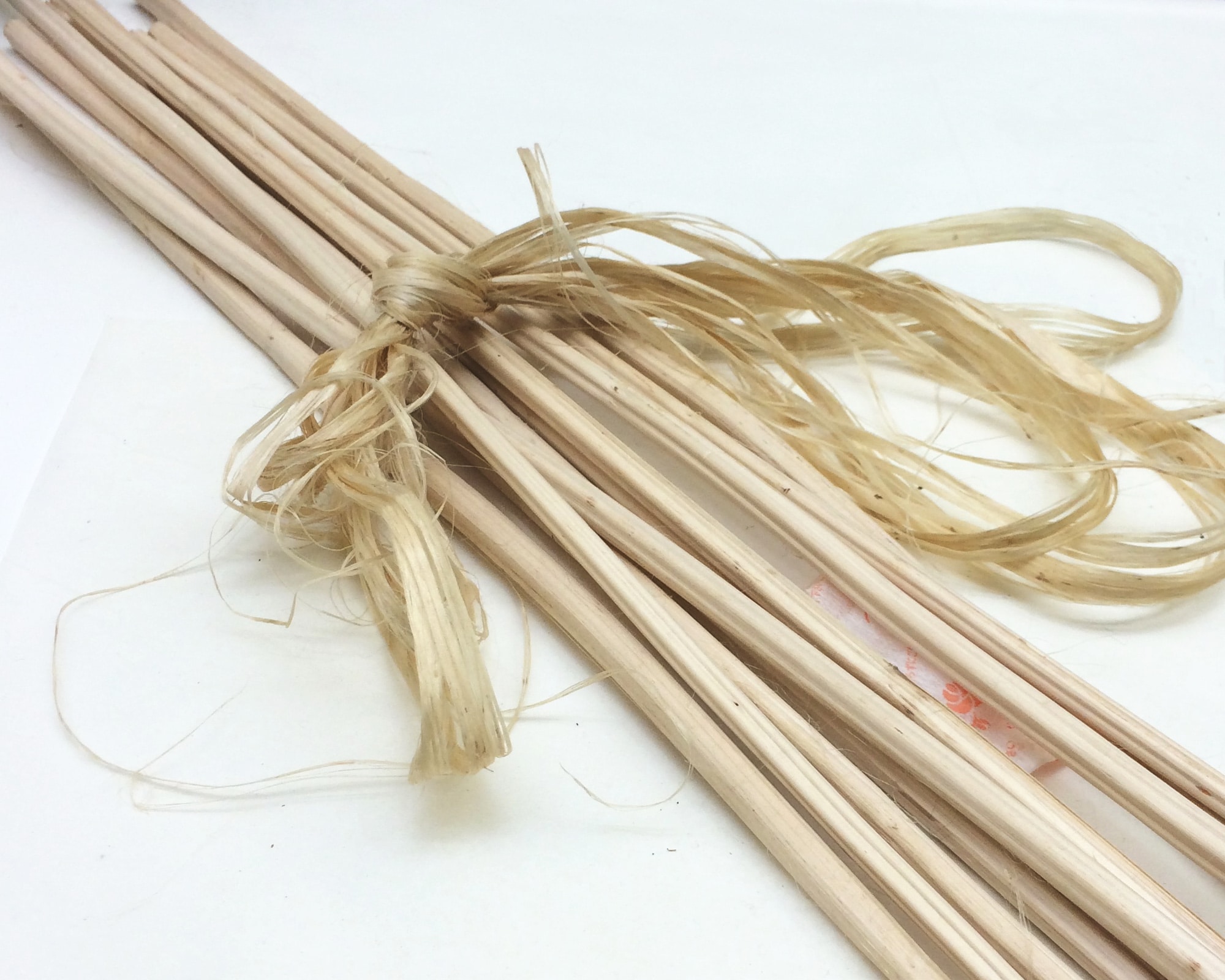 10 Fun Facts About Hemp And Its Uses Cbdmedic™